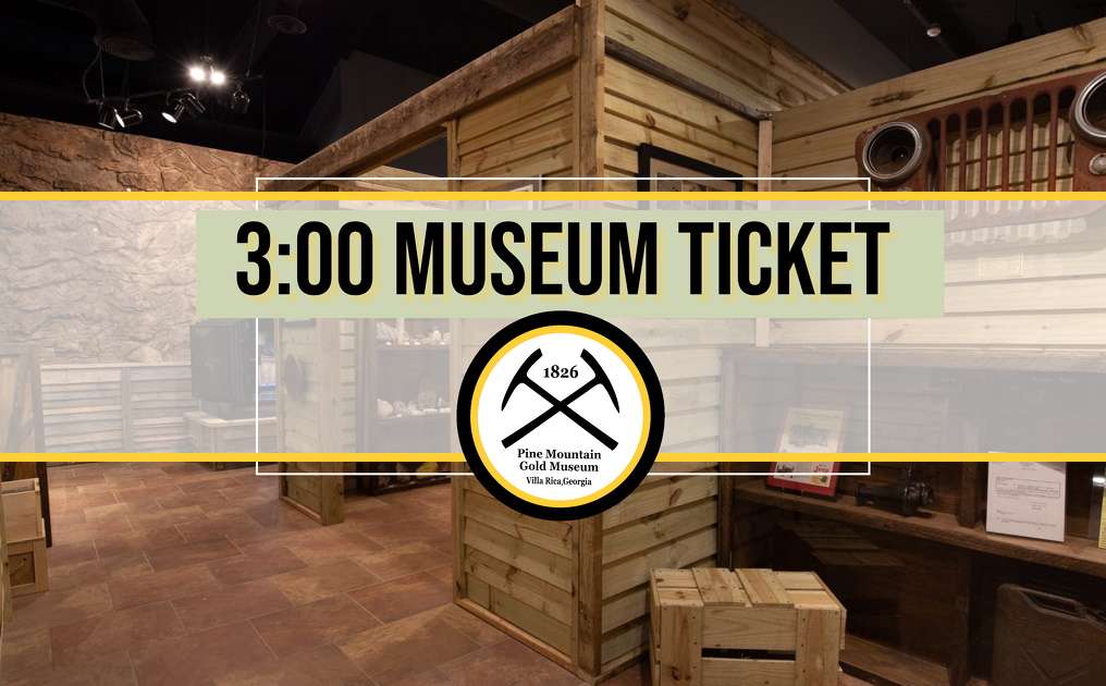 Buy tickets for 3:00 Museum Ticket with Ticket Division